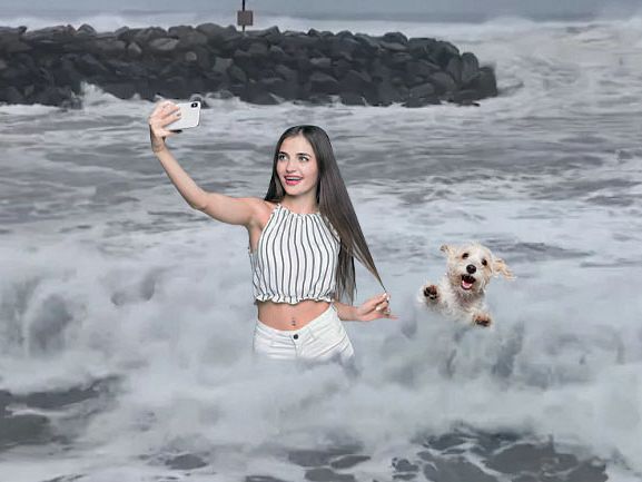 Cyclone Alfred turns larrikinism into animal cruelty
